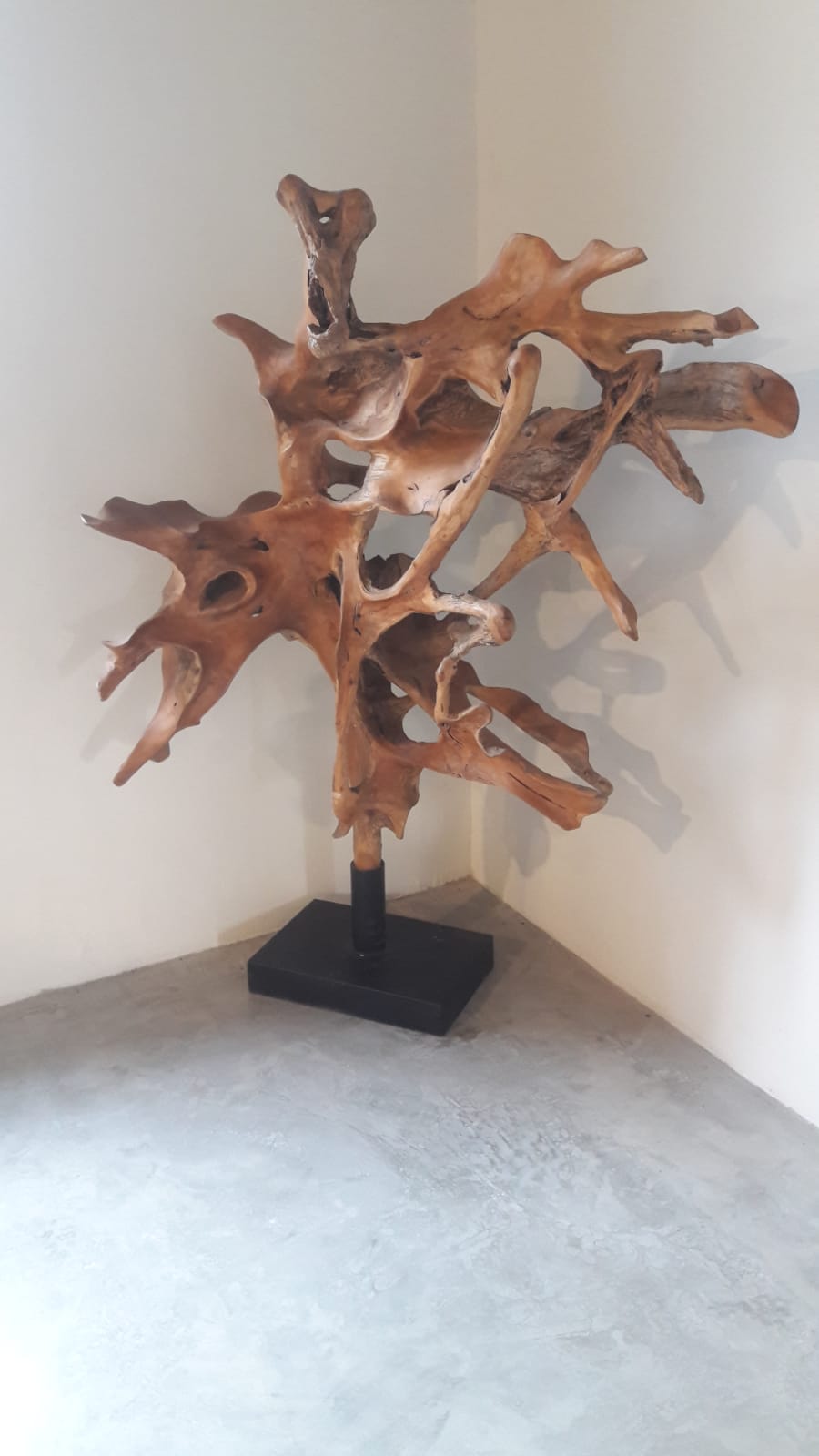 Pajangan Akar Jati Ranting